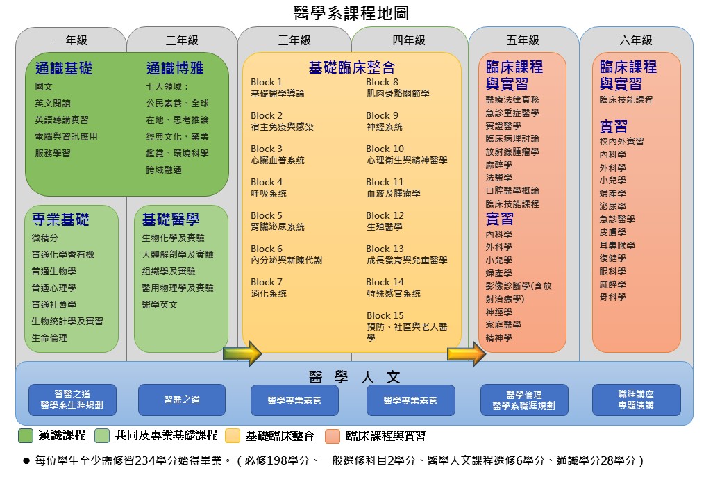 高雄醫學大學 醫學系 課程規劃